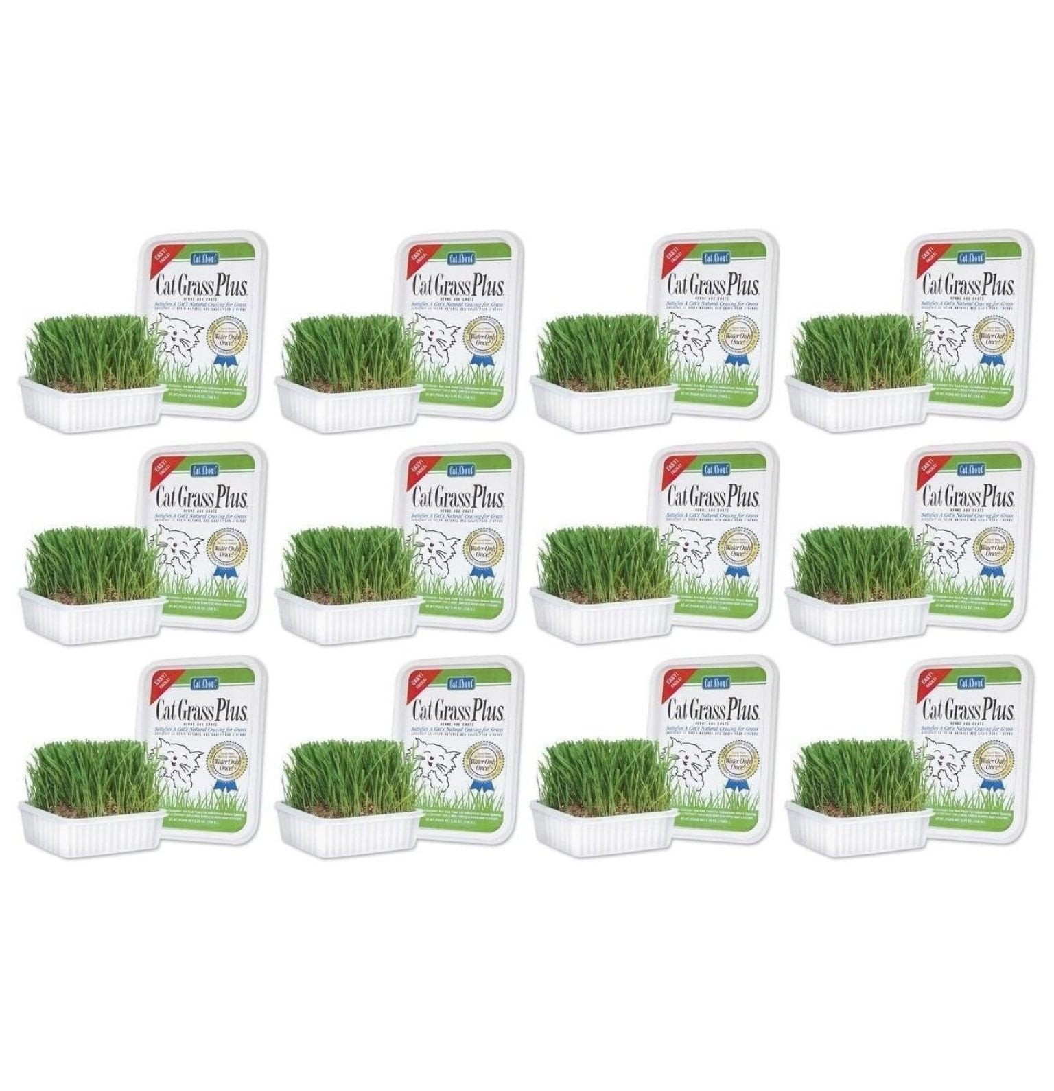Drevy Multi-Cat CatGrass Plus Tub 150 grams (Pack of 12) - Walmart.com