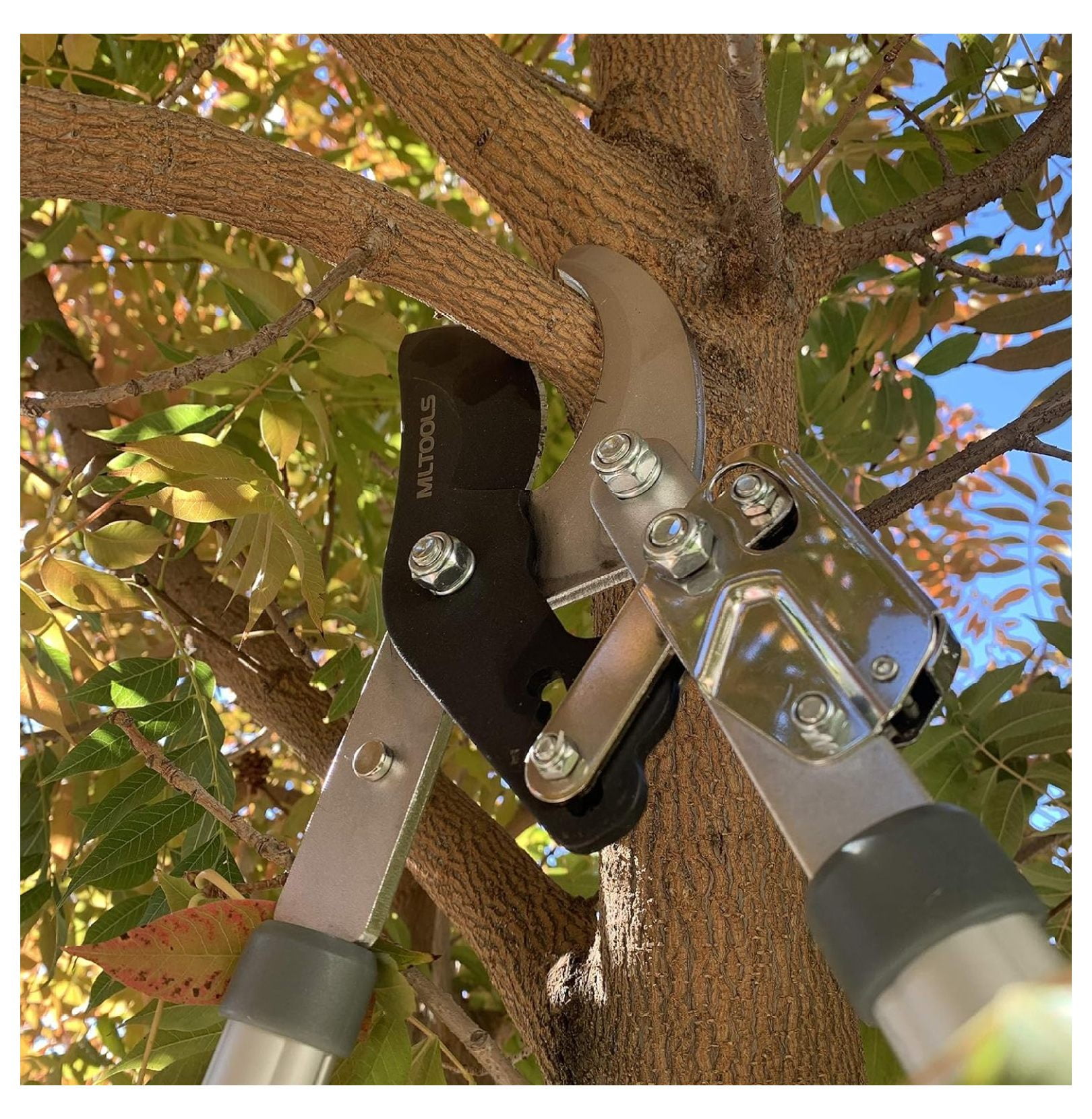 Drevy Ratcheting Extendable Bypass Lopper for Gardening - Heavy Duty ...