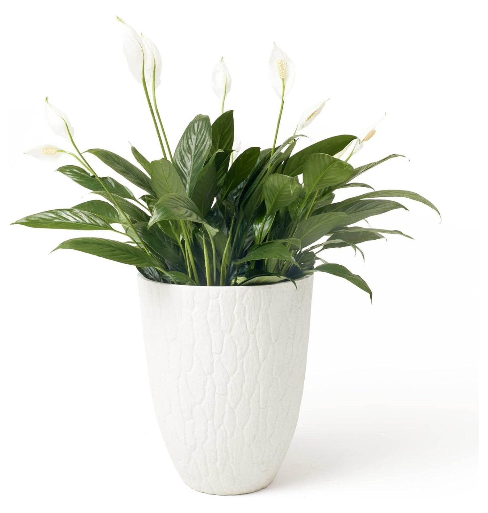 Drevy Tall Planter - 14.2 Inch Large Indoor & Outdoor Tree Planter ...