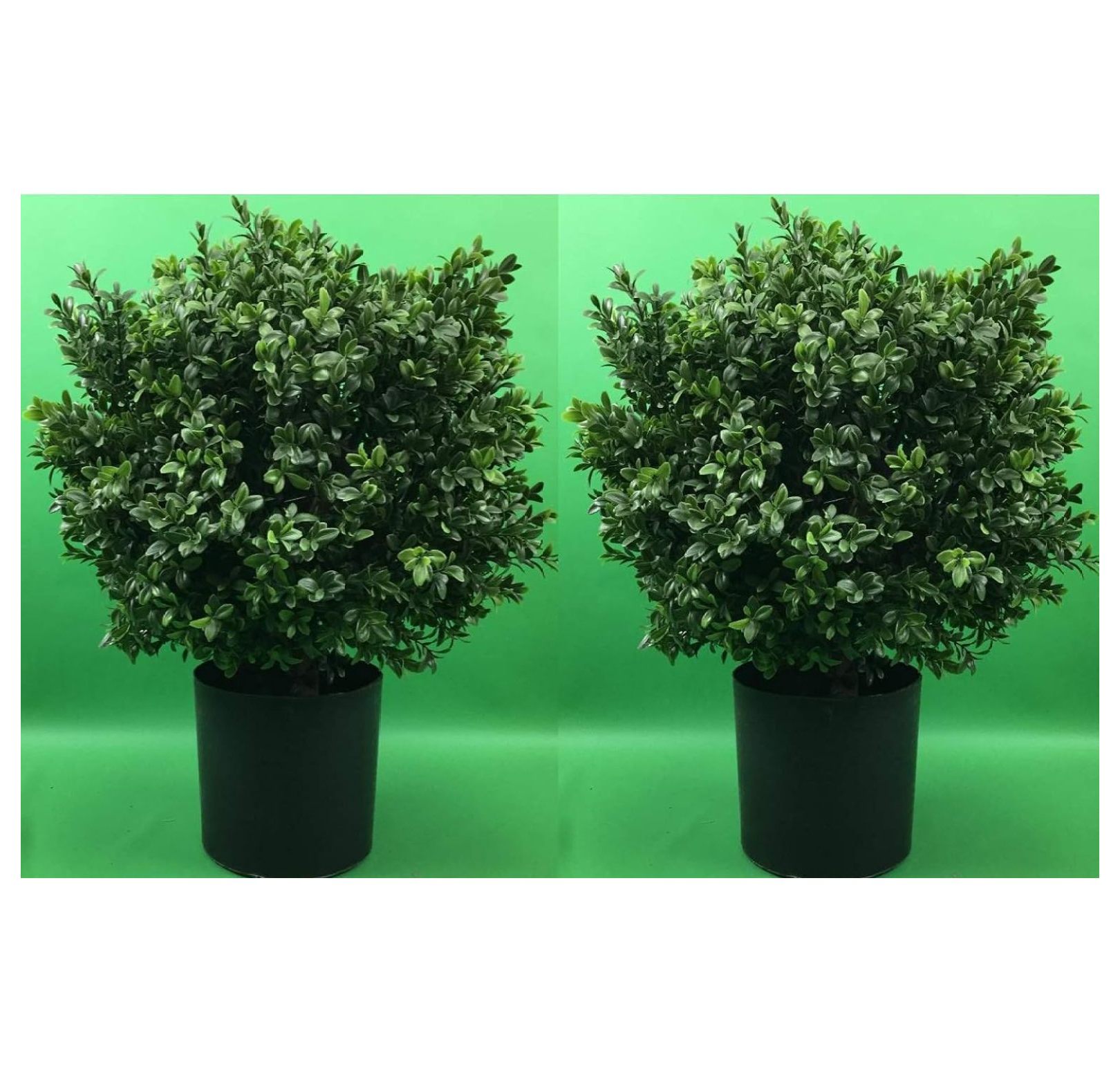Drevy Two 24 inch Tall Indoor Outdoor UV Rated Artificial Boxwood ...