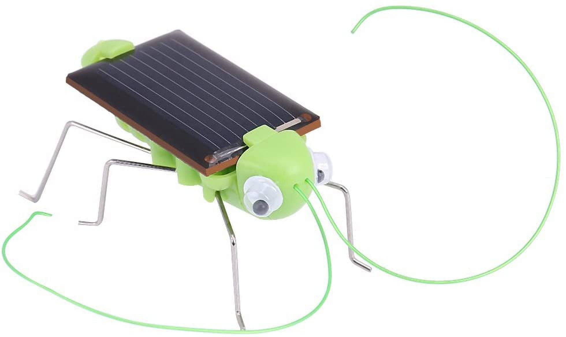 Drfeify Solar Powered Cockroach/Grasshopper Toy, Mini Solar Powered ...