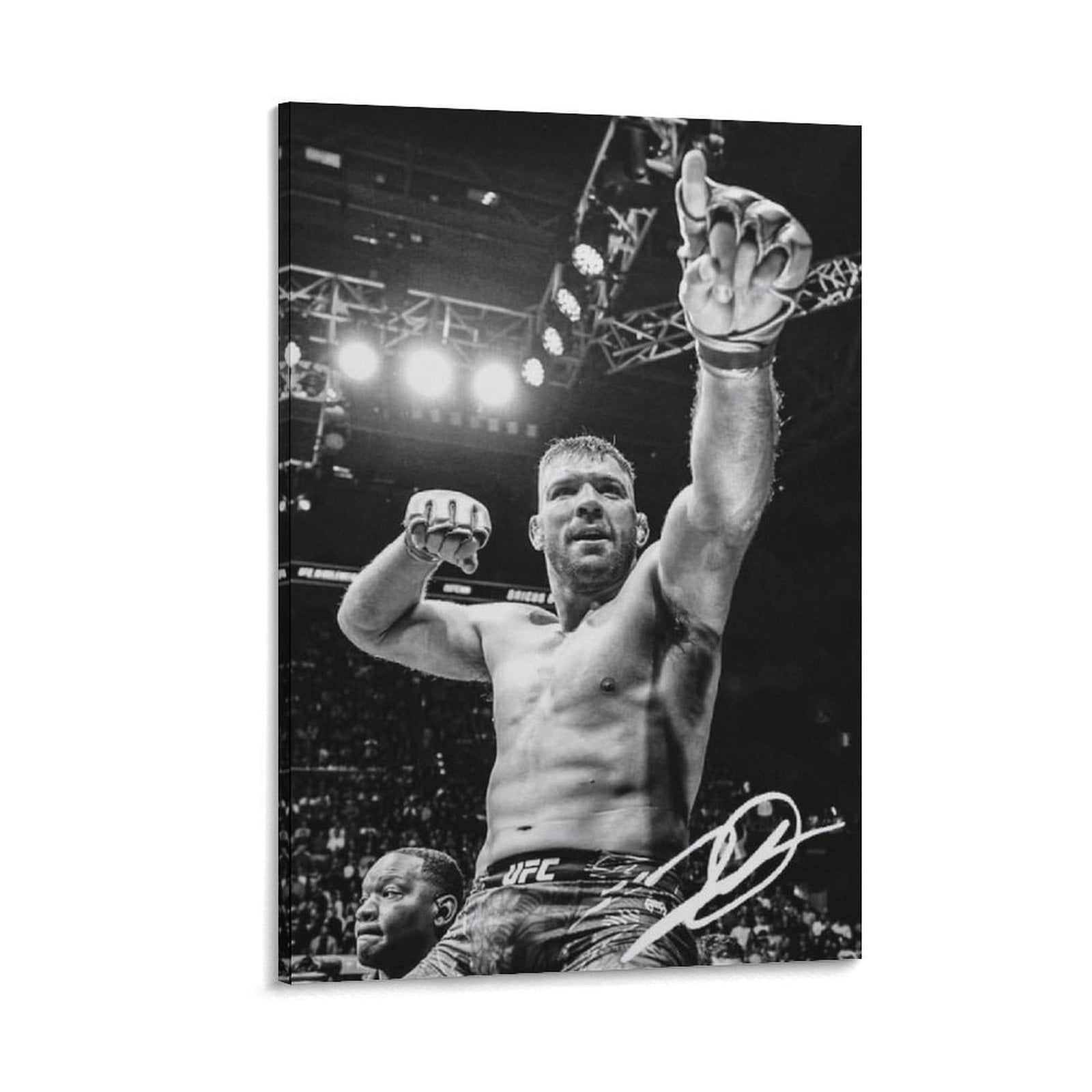 Dricus Du Plessis Poster Poster Cool Artworks Painting Wall Art Canvas ...