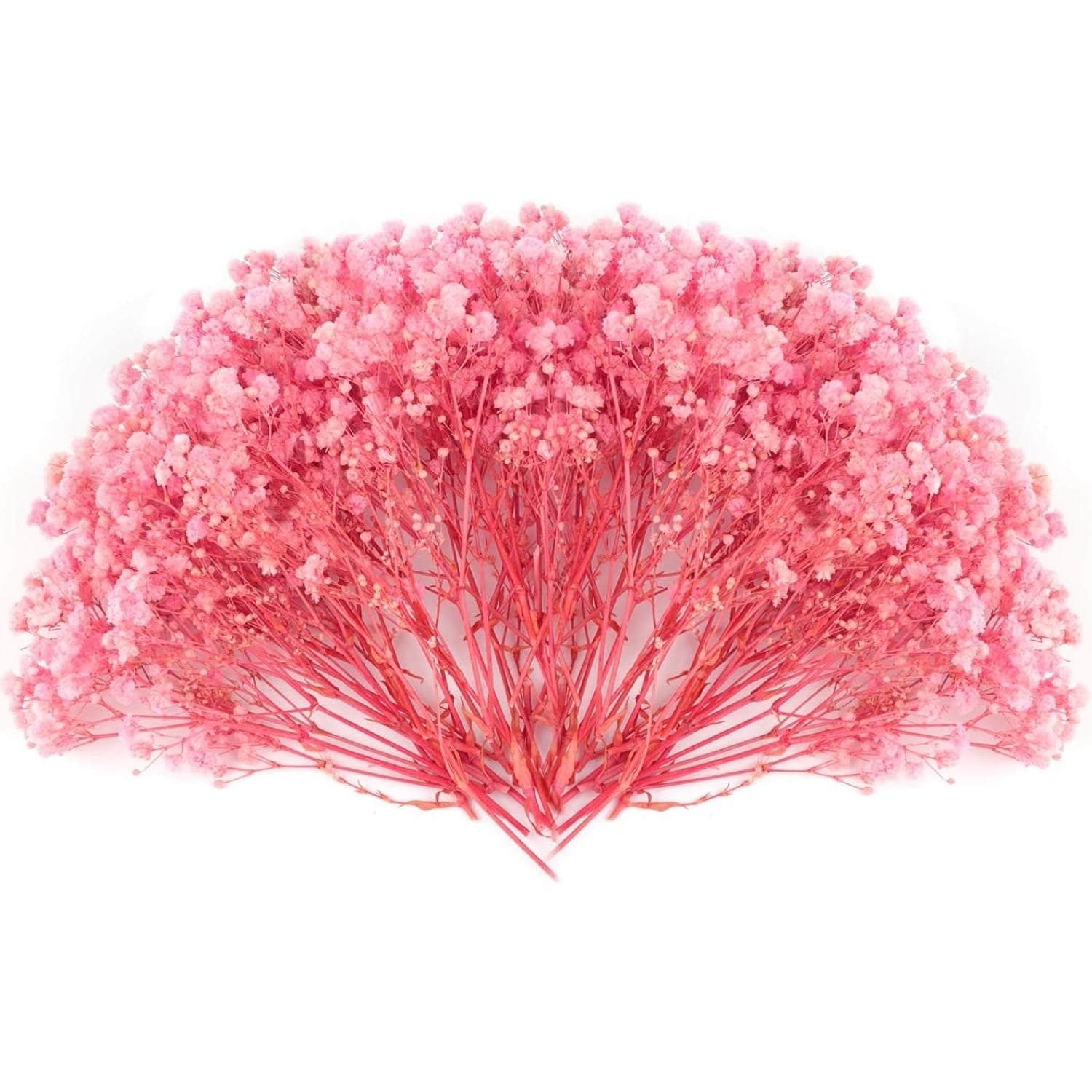 Dried Babys Breath Flowers Pink Gypsophila Bunches Bulk 50 Pcs ...