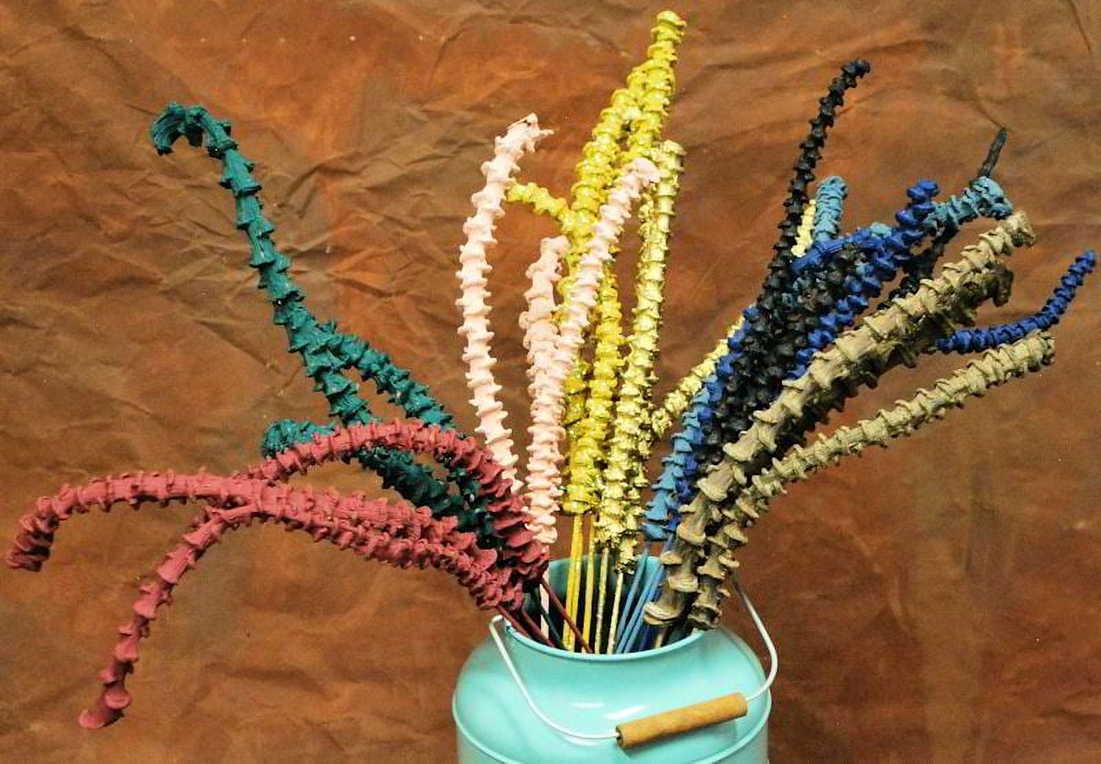 Dried Banana Stick on Stem colors 19-23in. Tall 1in. Wide 3 per order ...