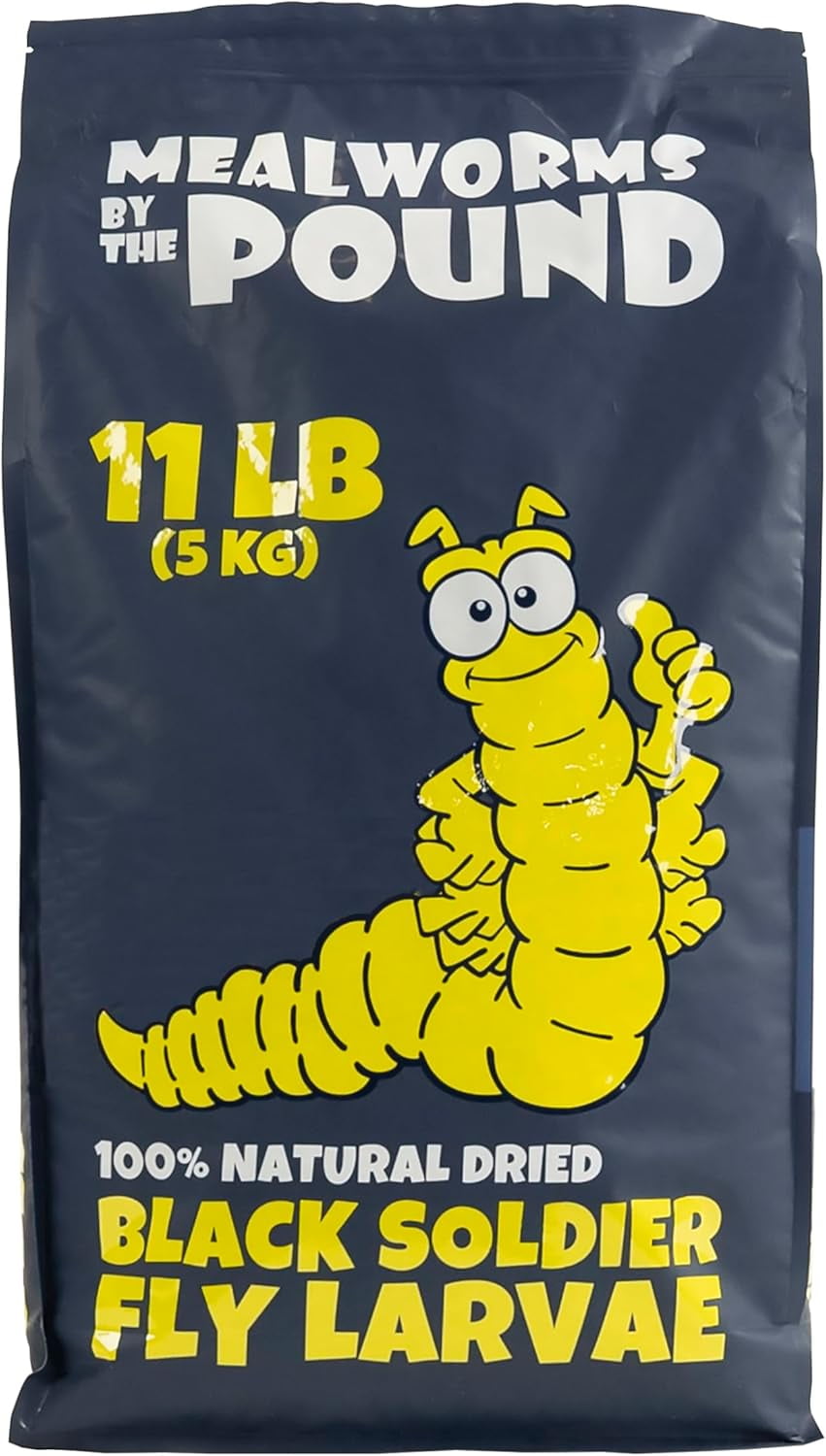 Dried Black Soldier Fly Larvae (11 lbs) - More Calcium Than Mealworms ...