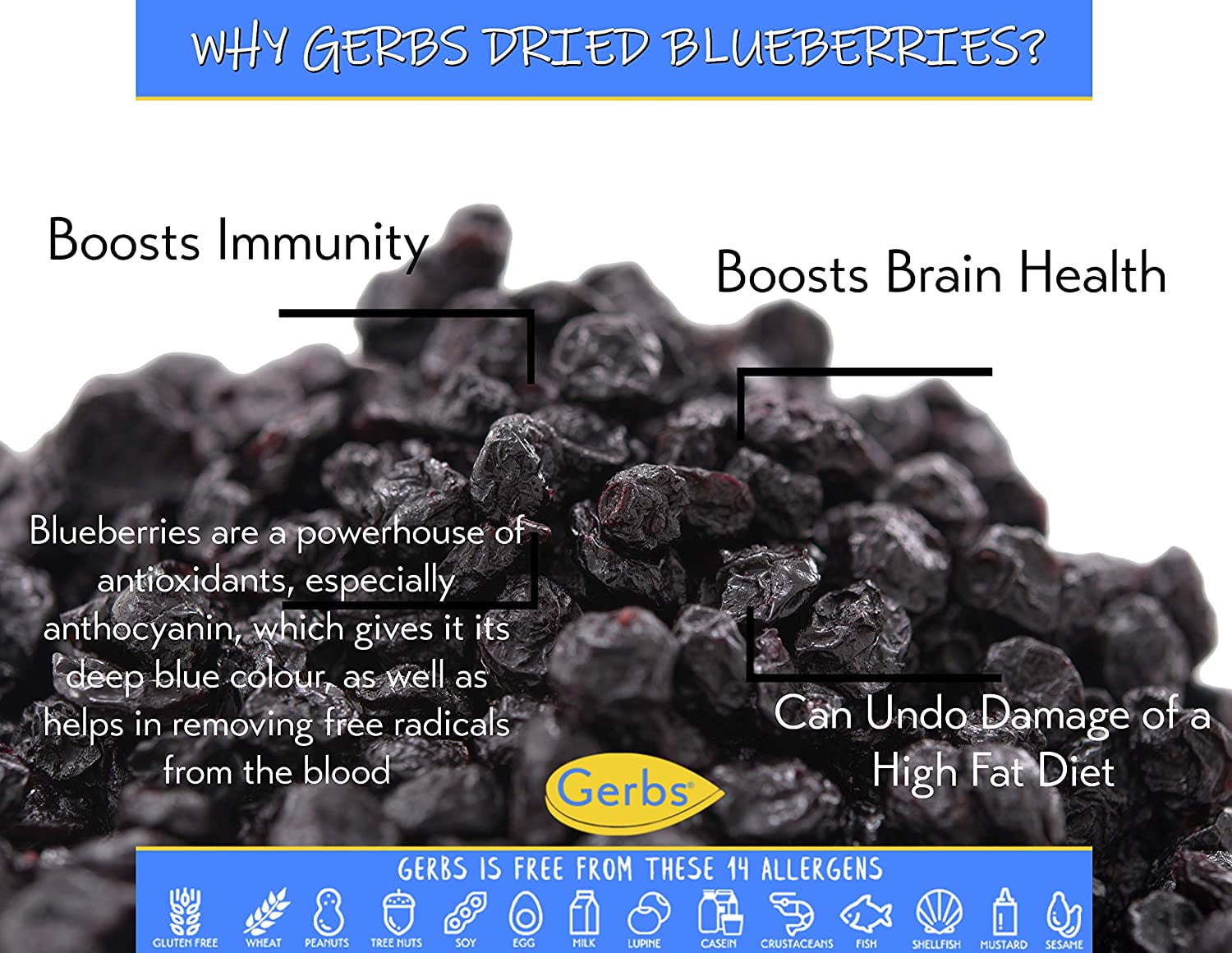 Dried Blueberries 14 Oz. | Freshly Dehydrated Resealable Bag | Top 14 ...