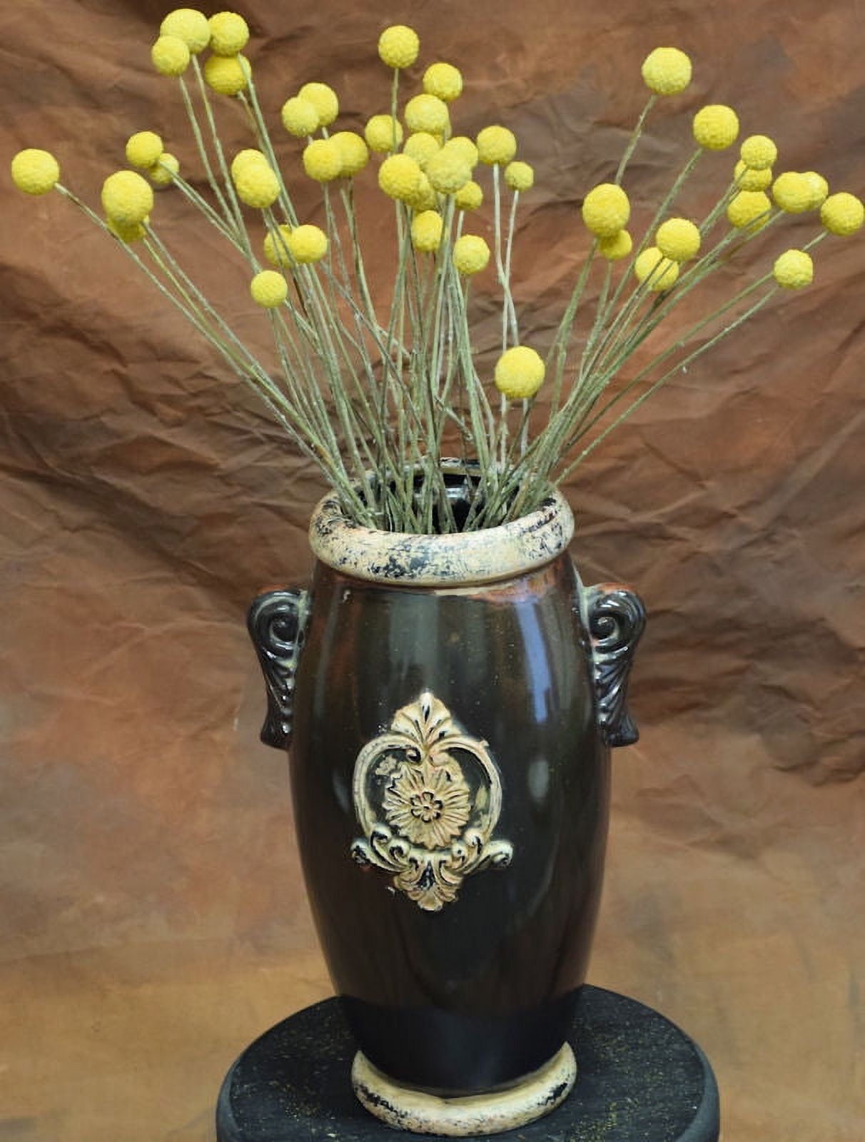 Dried Craspedia (Billy Balls) Flowers 16-22in. Long Yellow on green ...