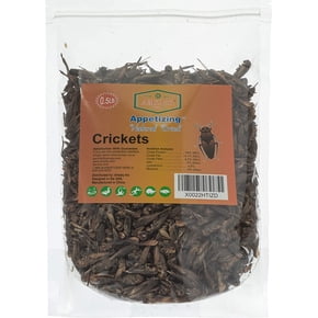 Live Crickets