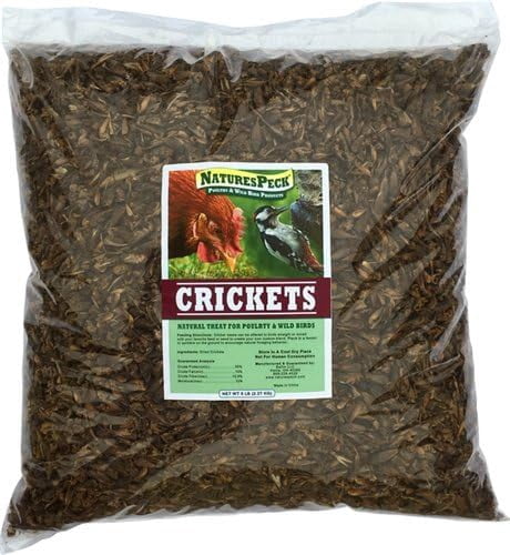 Dried Crickets- 5 lbs Chickens -Wild Birds-Fish,Bearded Dragons ...