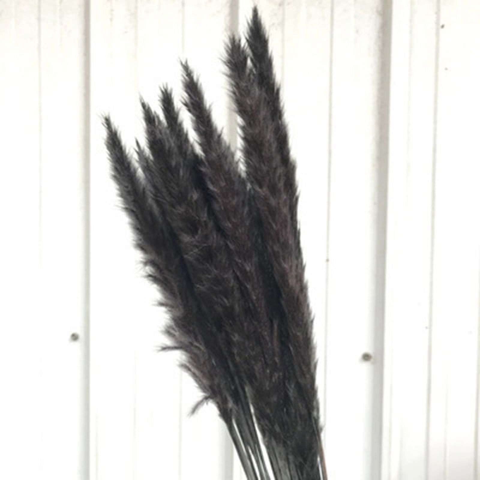 Dried Flower Bouquet Natural Dried Flowers Bouquet Reed Flores Pampas ...