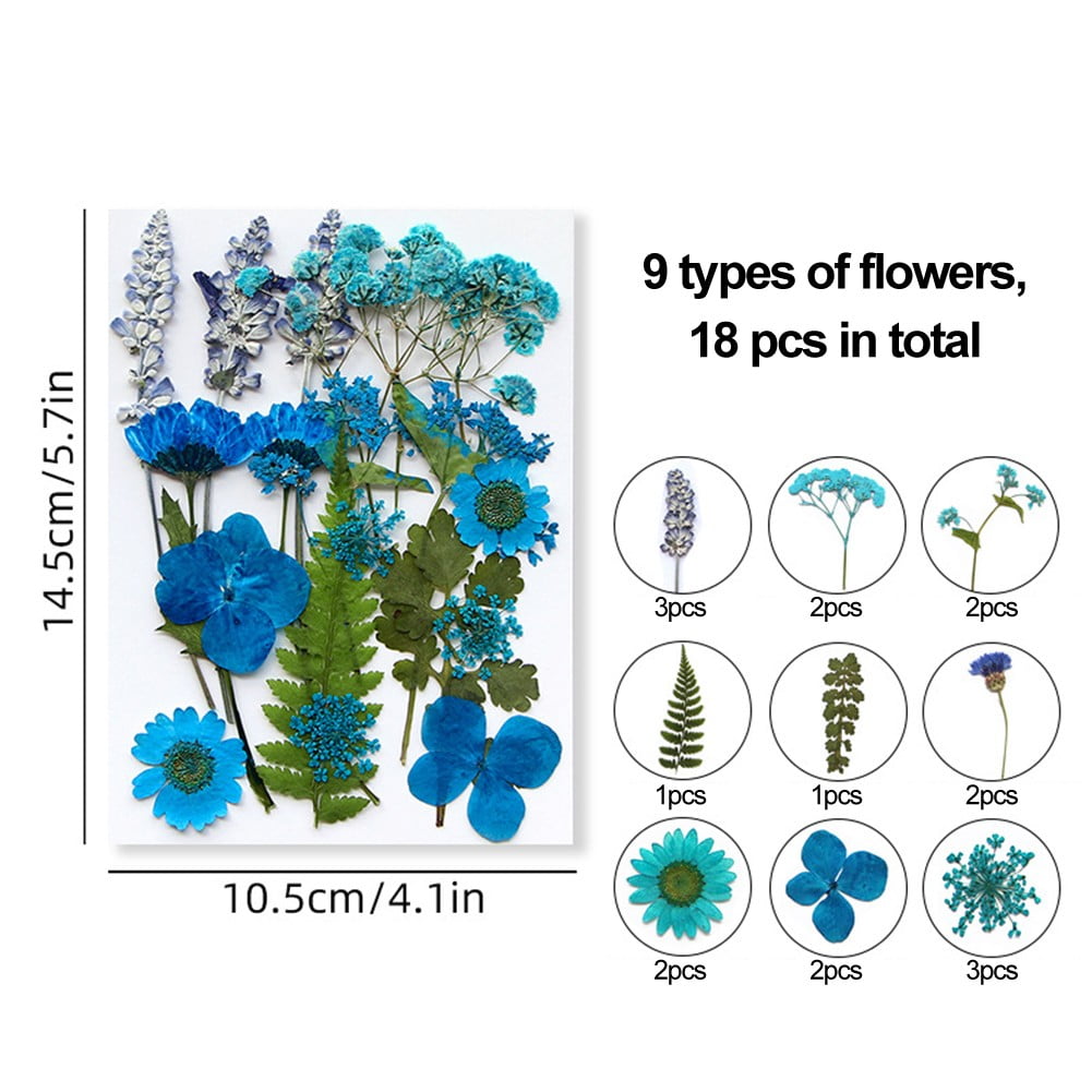 Dried Flower Craft Kit for DIY Enthusiasts Create Beautiful Decorations ...
