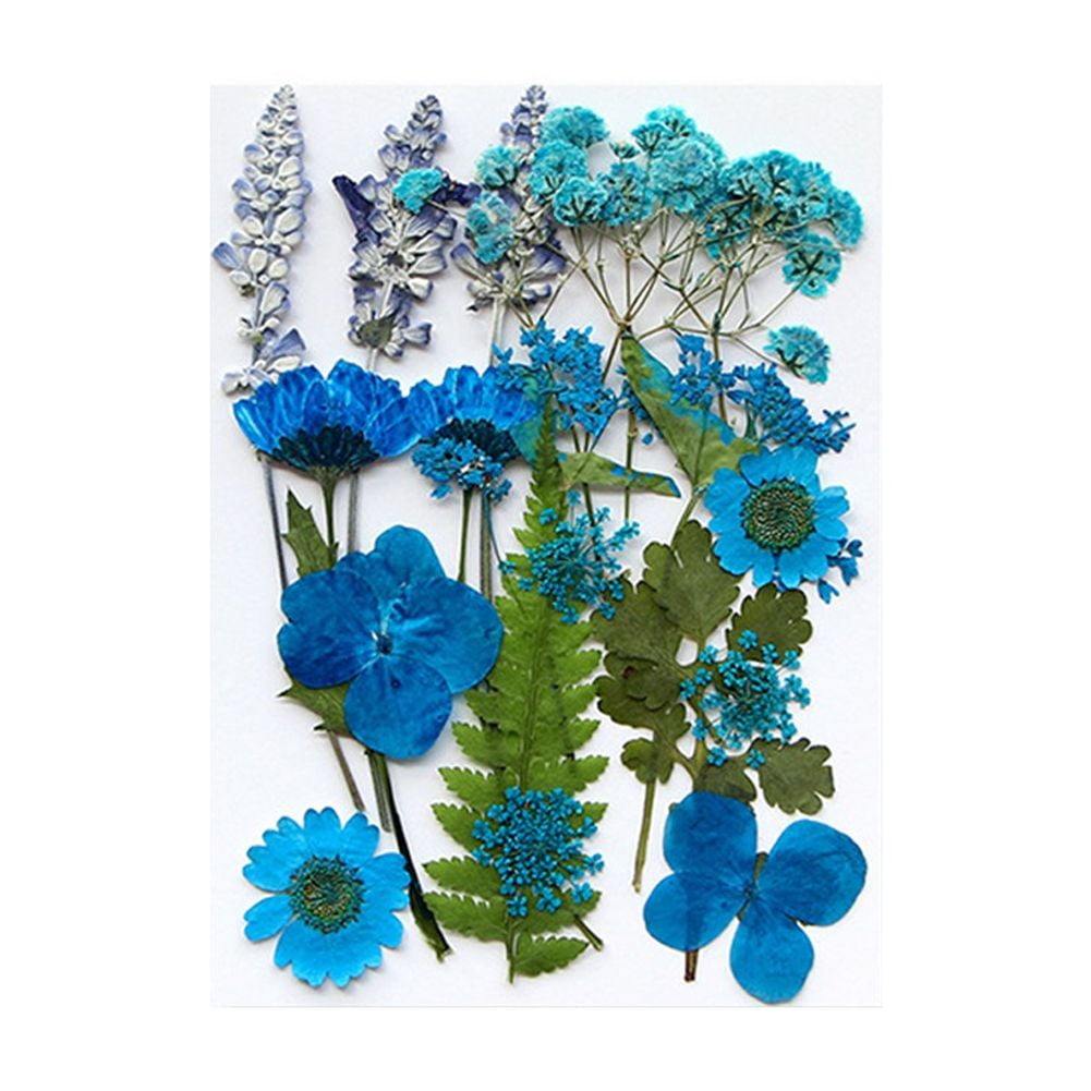 Dried Flower Craft Kit for DIY Enthusiasts Create Beautiful Decorations ...