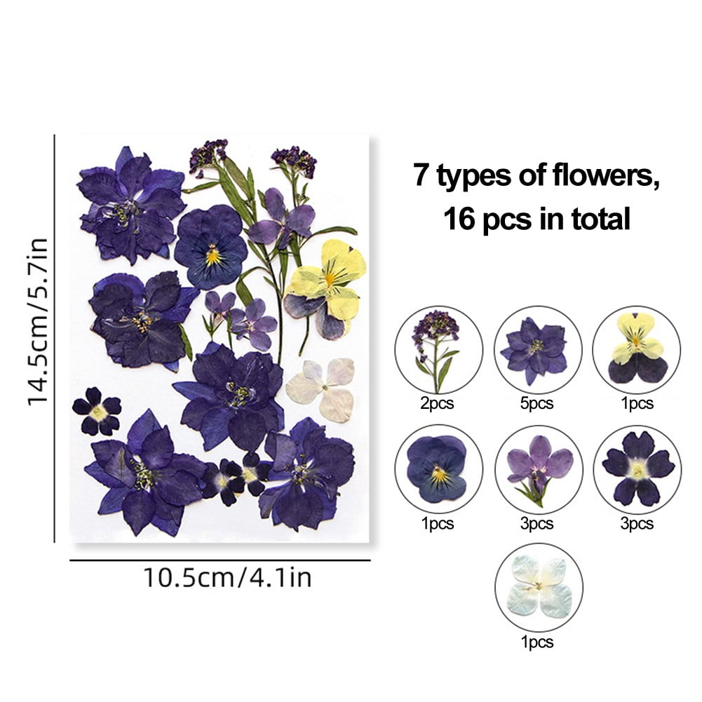 Dried Flower Craft Kit for DIY Enthusiasts Create Beautiful Decorations ...