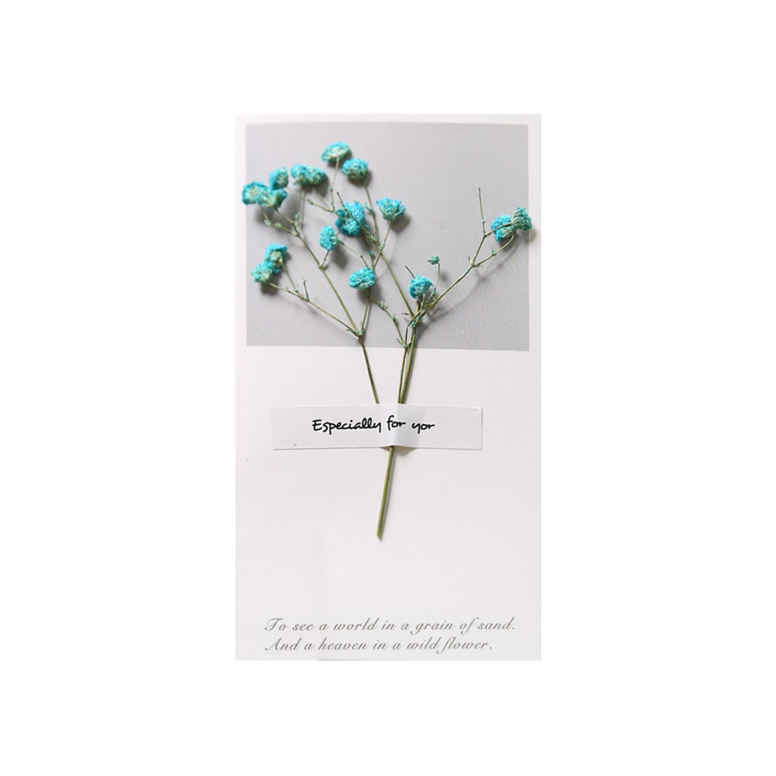 Dried Flower Greeting Cards Mother's Day Cards Valentine's Day Cards ...