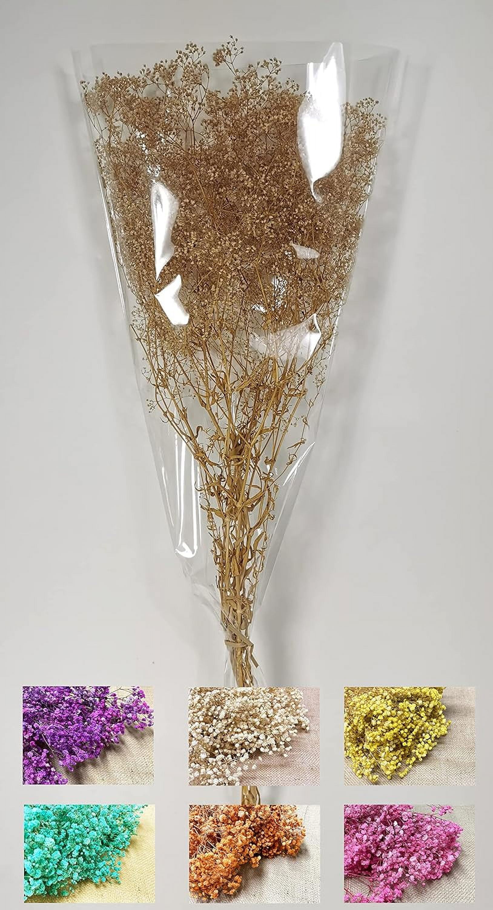 Dried Flower Natural Babys Breath 27" H 2oz Large Bundle Gypsophila ...