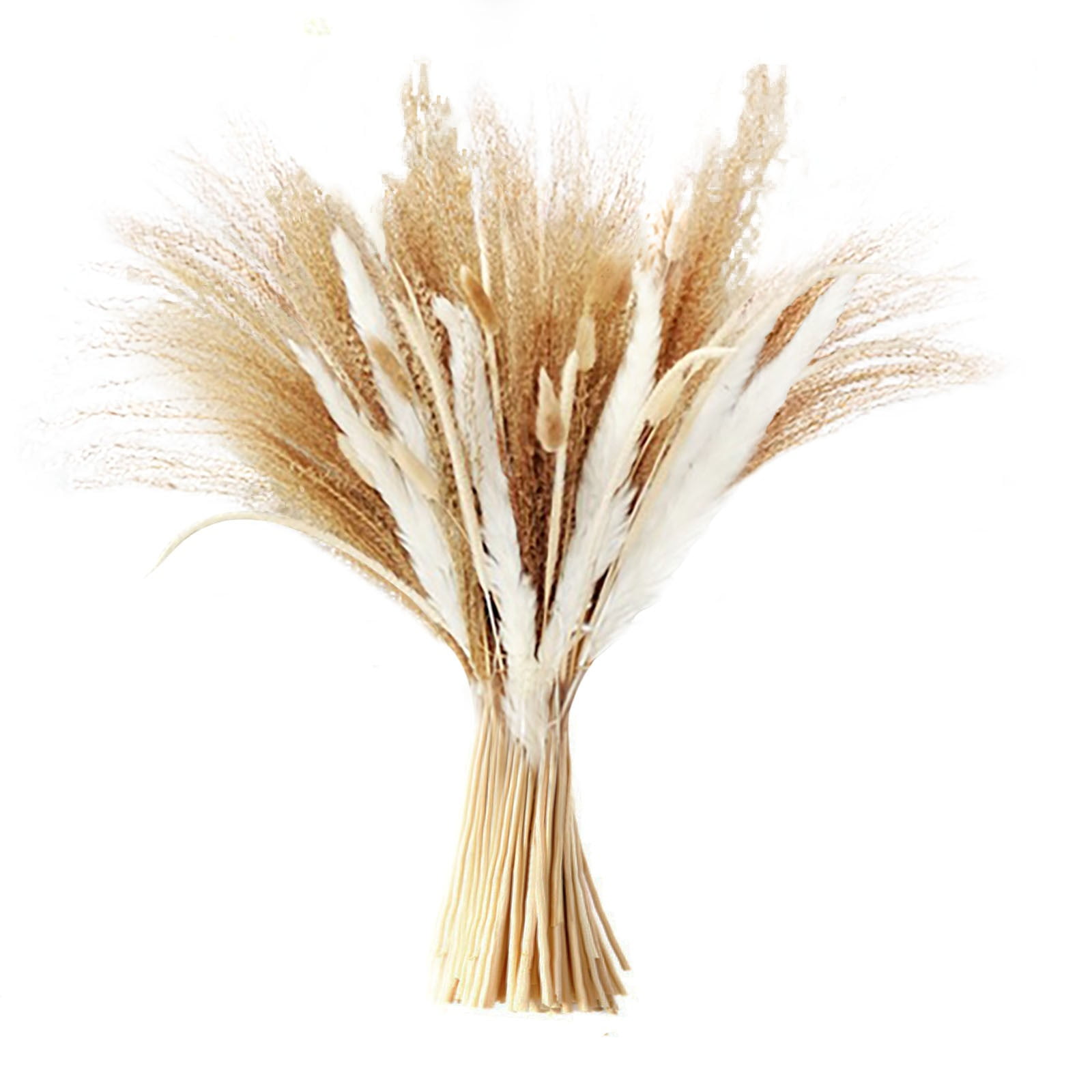 Dried Flowers 65 45cm Fluffy Exaggerated Grass Flower Arrangement Boho ...