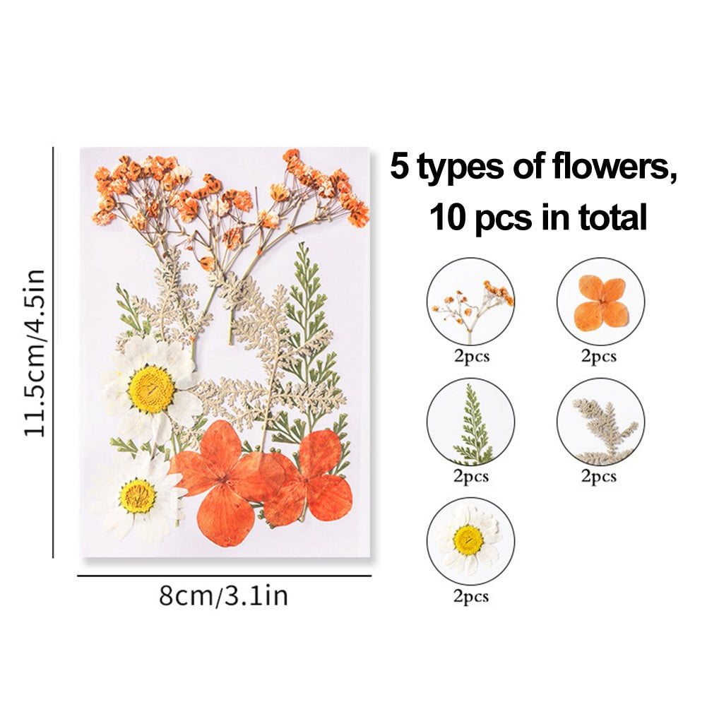 Dried Flowers DIY Material Packs:Timeless,Charming,and Colorful ...