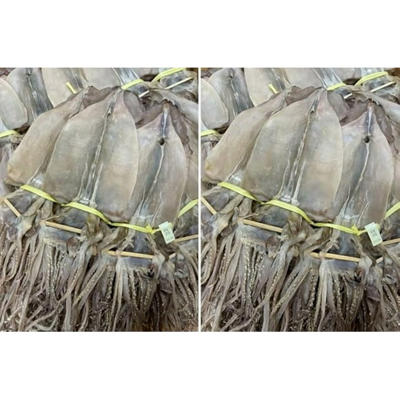 Shop Dried Squid Products for Delicious Seafood Snacks and More