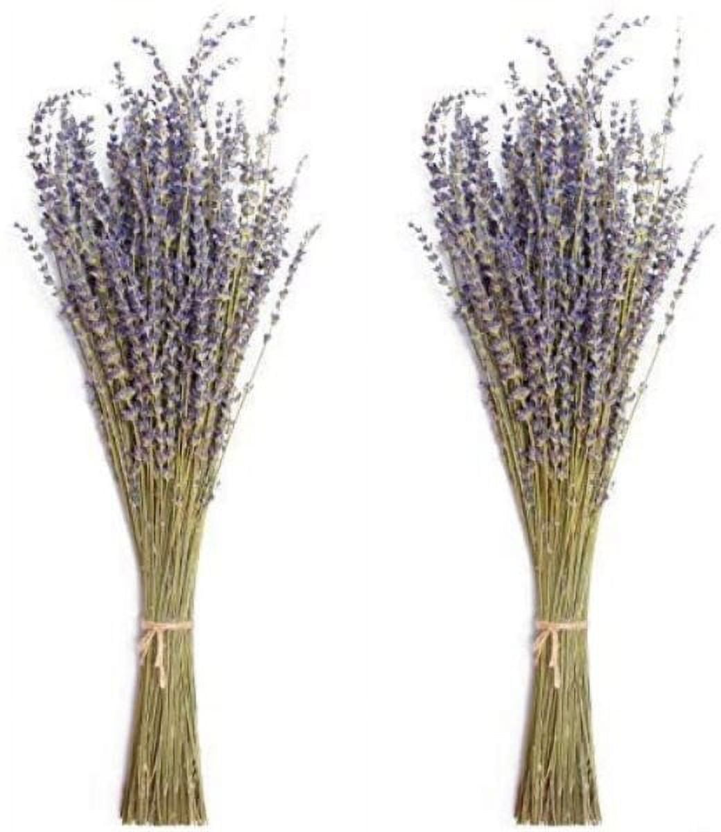 Dried Lavender Bundles Natural Dried Lavender Flowers For Home ...