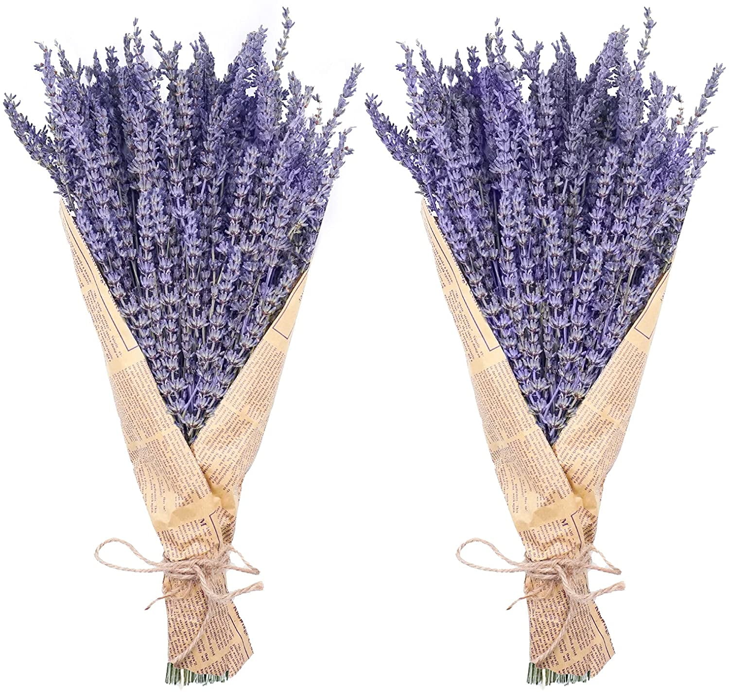 Dried Lavender Bundles, Natural Dried Lavender Flowers 280-300 Stems 16 ...
