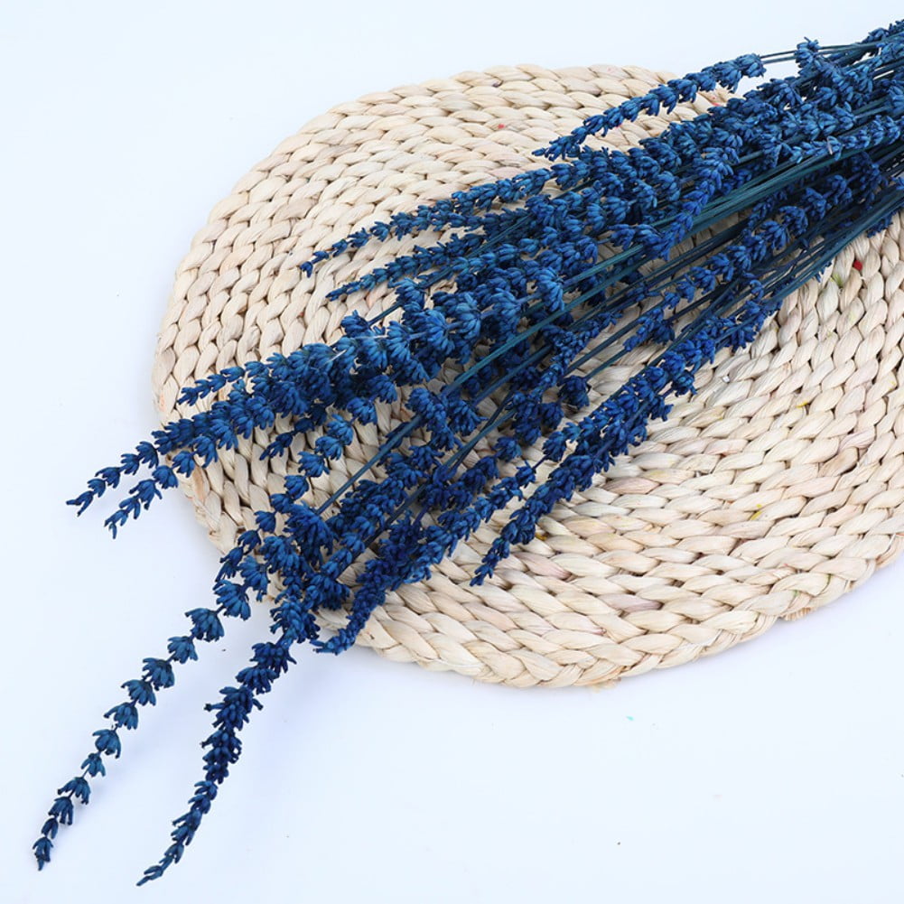 Dried Lavender Flowers Bundle 22 Inch Dried Flowers Vase Filler Long ...