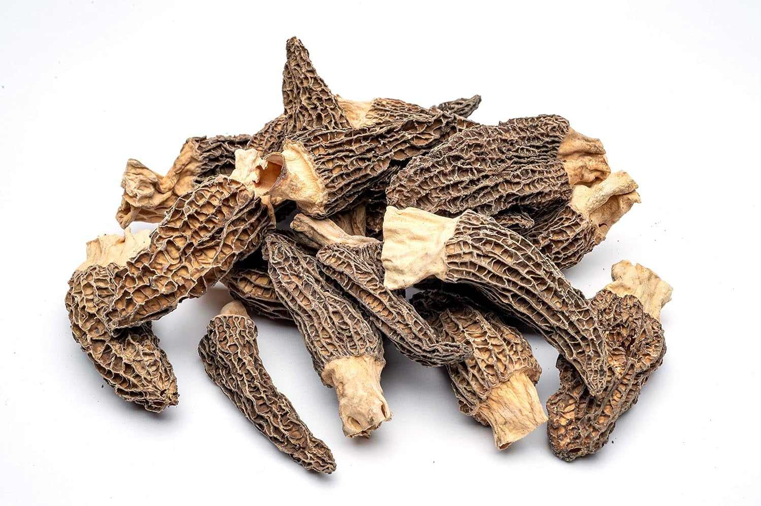 Dried Morel Mushrooms (Morchella Conica) Gourmet Morel Mushrooms (2 oz ...