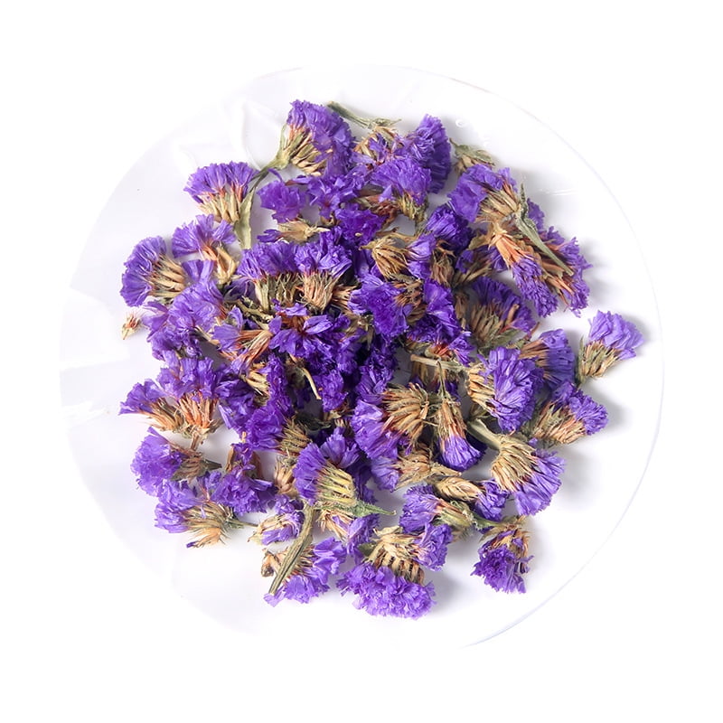 Dried Natural Flowers Rose Bud Dry Flower Forget Me Not Dried Flowers ...