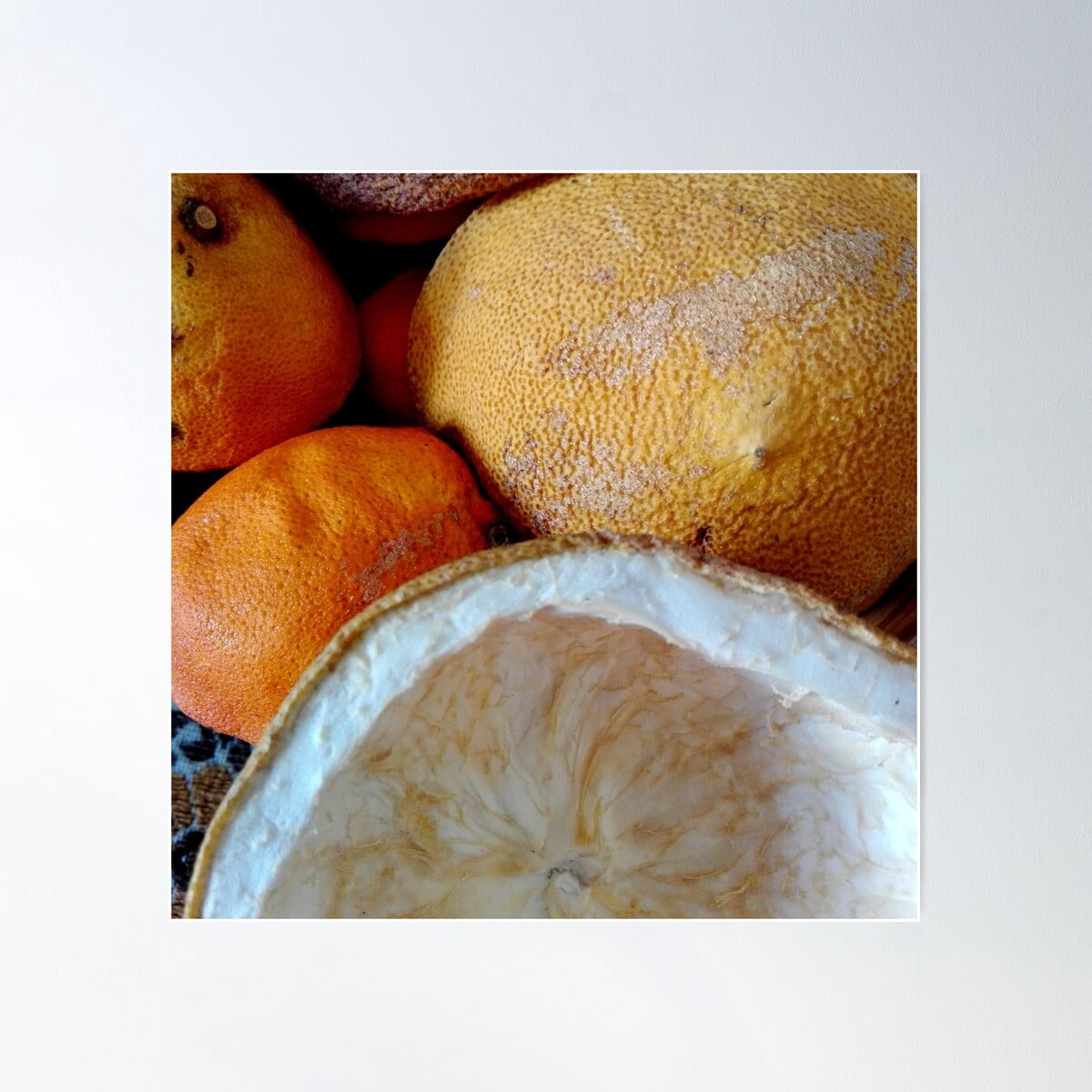 Dried Orange Peel Old Oranges Tangerines Poster Wall Art, Modern Wall ...