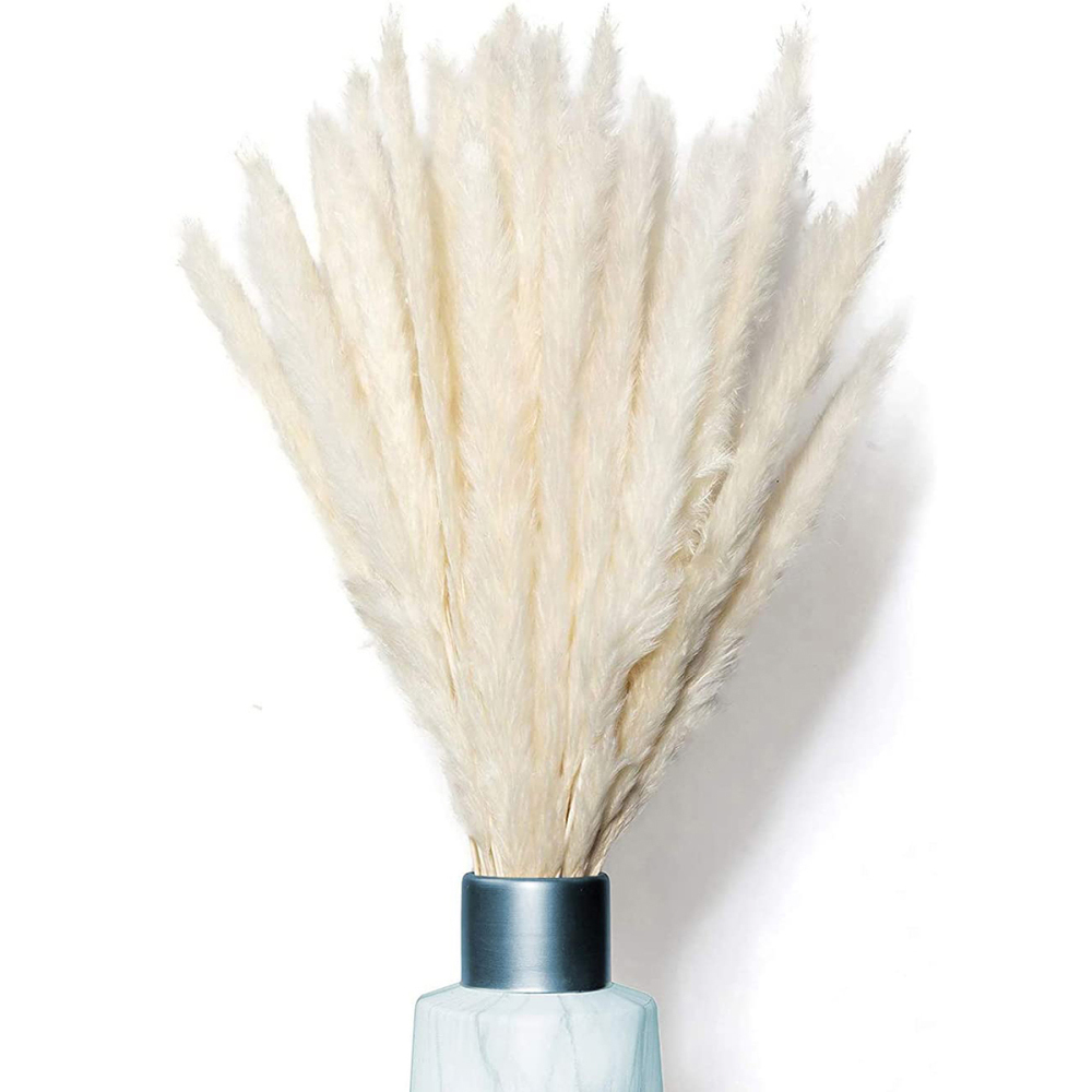 Dried Pampas Grass, 15 X Natural Pampas Grass Dried Flowers Decoration ...