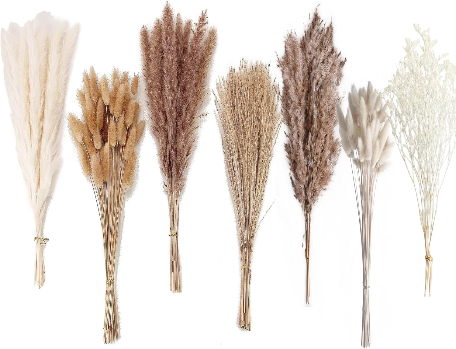 Dried Pampas Grass Decor, 100 Stems Pampas Grass Contains Bunny Tails ...