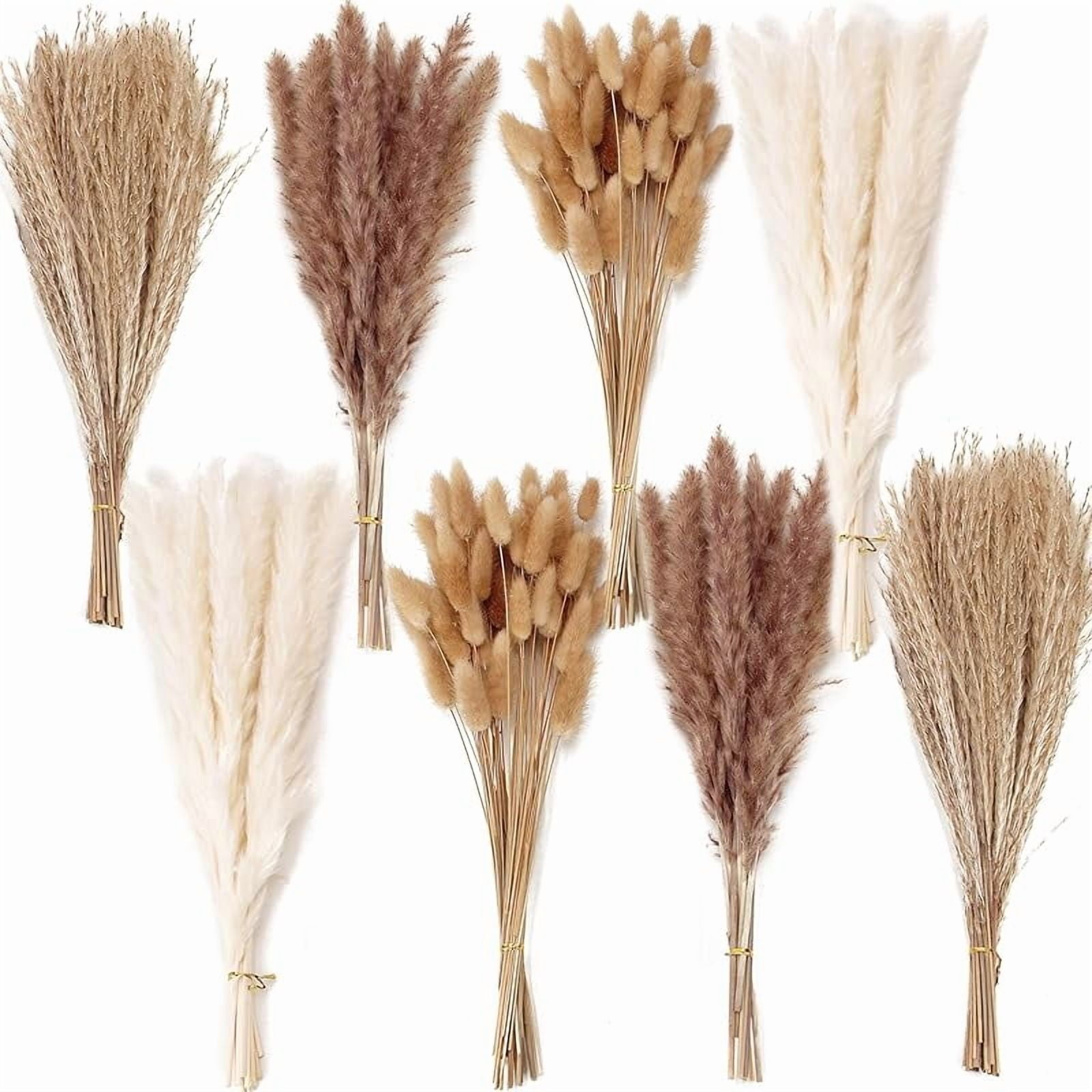 Dried Pampas Grass Decor, 100 Stems Pampas Grass Contains Bunny Tails ...