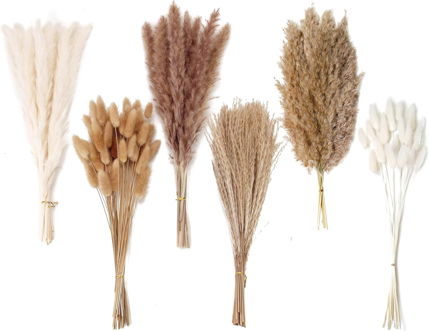 Dried Pampas Grass Decor, 120 PCS Pampas Grass with Bunny Tails Dried ...