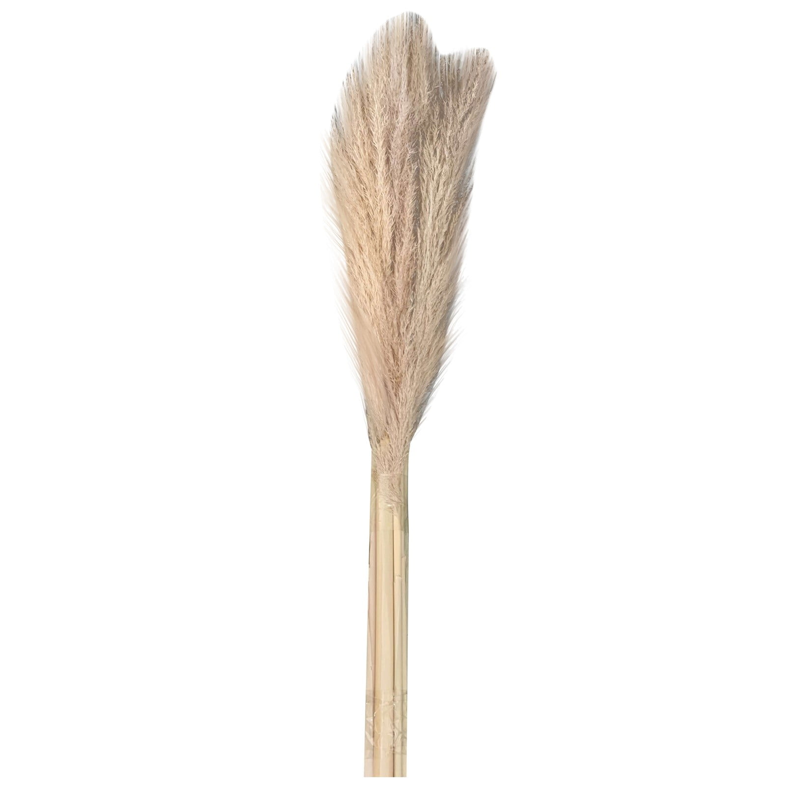 Dried Pampas Grass Plumes Decoration,Natural Dried Lagurus Ovatus,17 ...