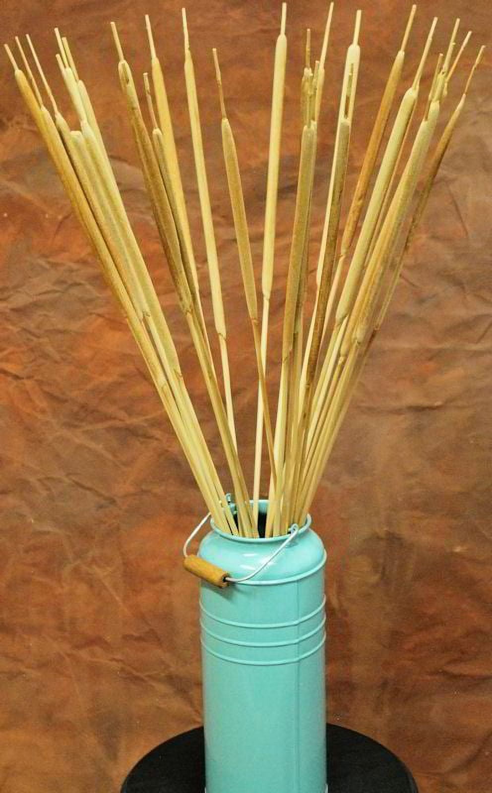 Dried Pencil Cattails 6 oz bunch 40-45 stems -- Case of 20 Brown Short ...