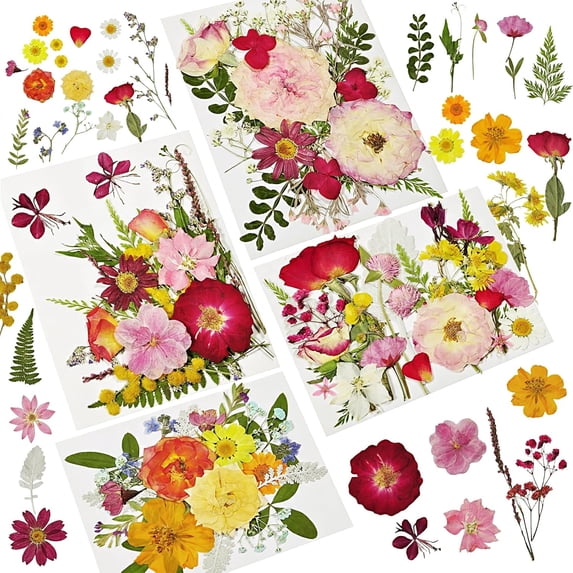 Dried Pressed Flowers for Resin, Real Dry Leaves Bulk Natural Herbs Kit ...