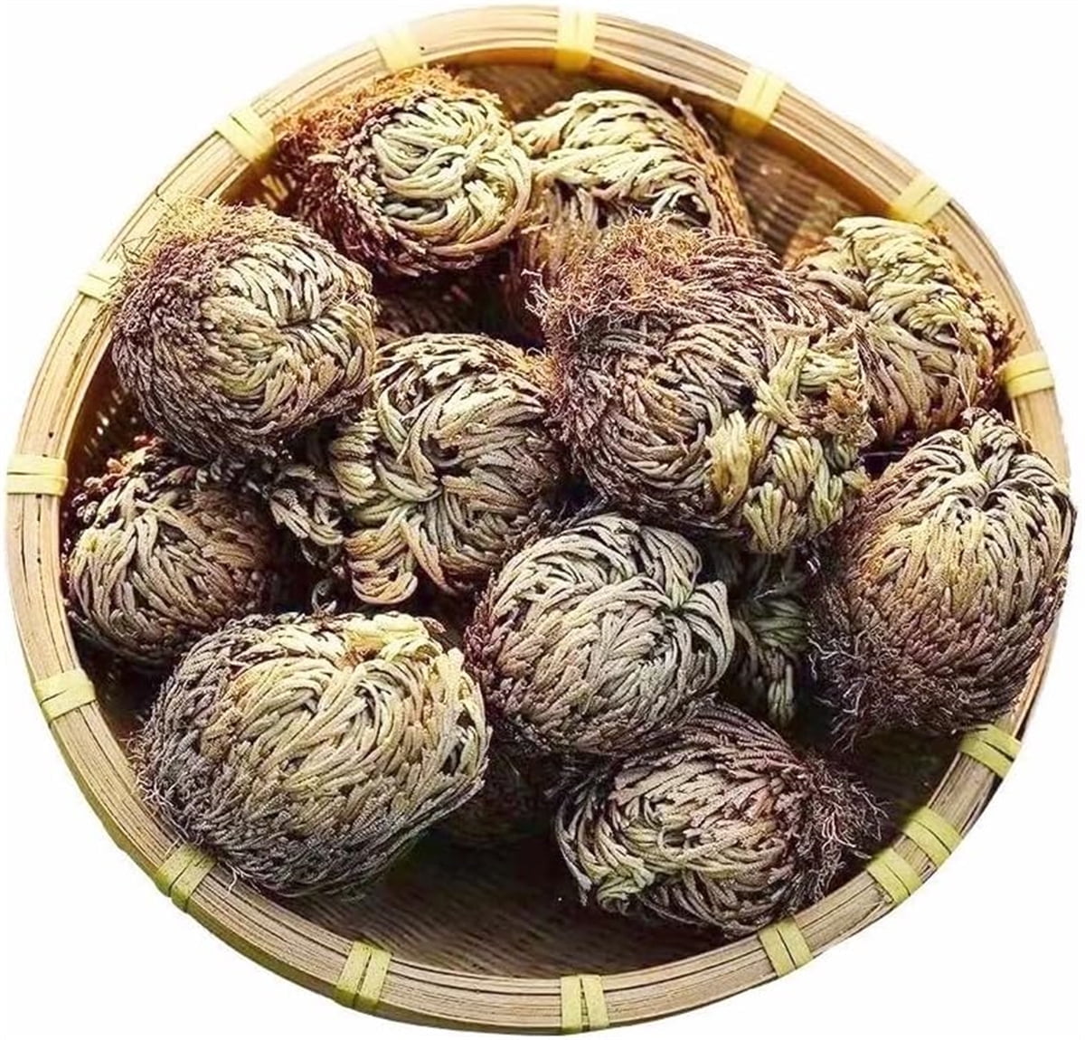 Dried Rose Jericho for Abundance Prosperity - GIXUSIL The Resurrection ...