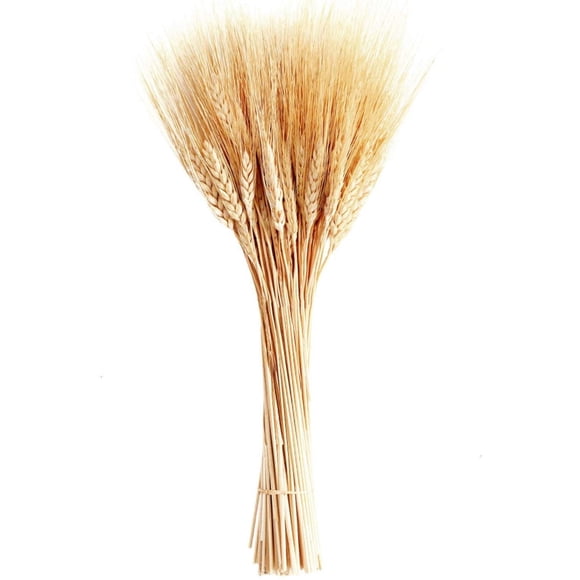Wheat Stalks