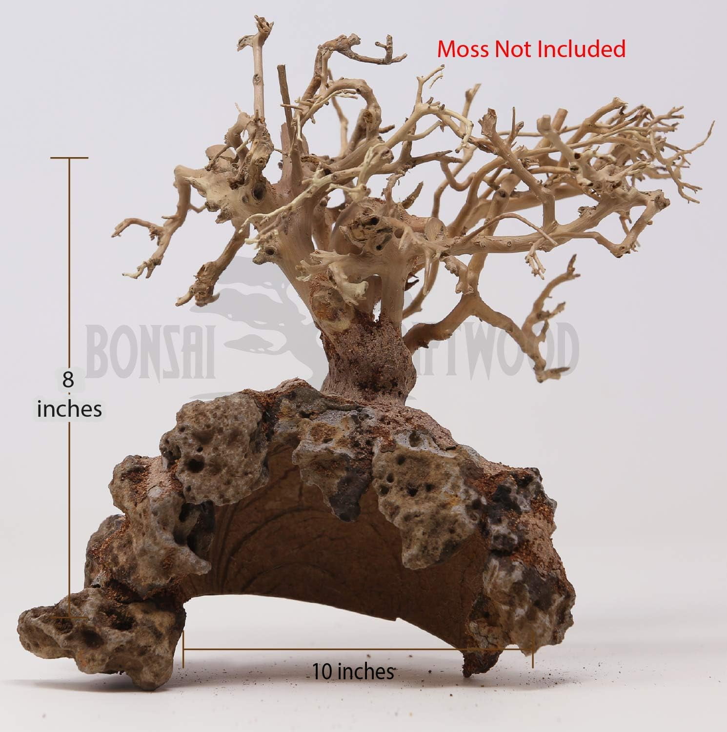 Driftwood Aquarium Tree Dry Coconut GD Random Pick (8in H x 10in L) Natural, Handcrafted Fish ...