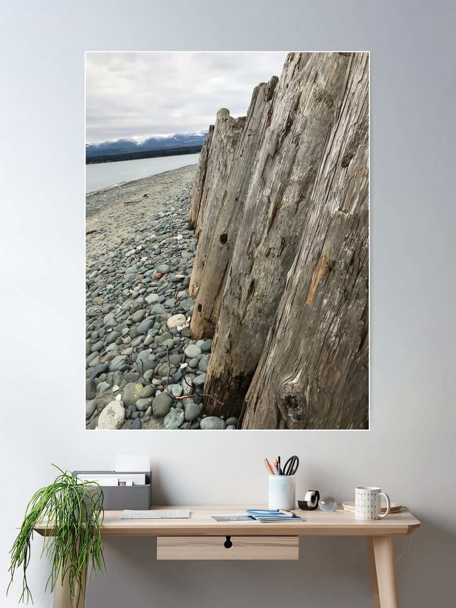 Driftwood At Goose Spit Poster Wall Art, Modern Wall Decor For Living ...