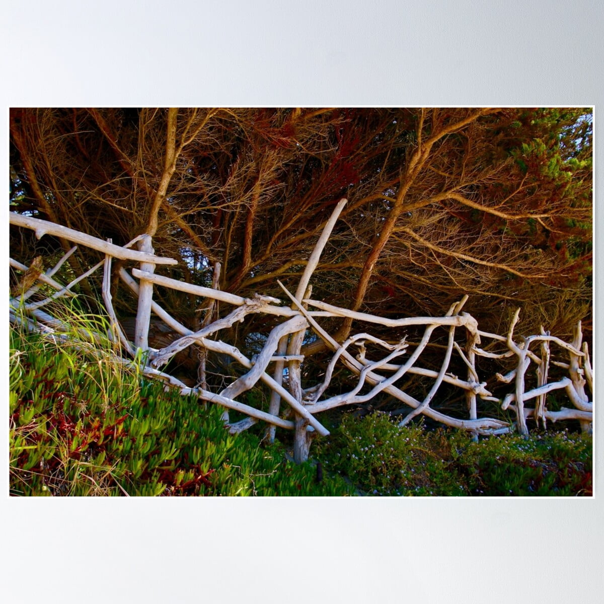 Driftwood Fencing Poster Wall Art, Modern Wall Decor For Living Room ...