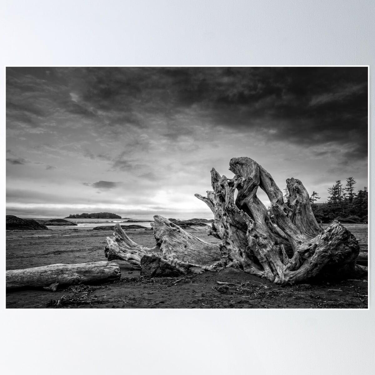 Driftwood On Chesterman Beach In Tofino Poster Wall Art, Modern Wall ...