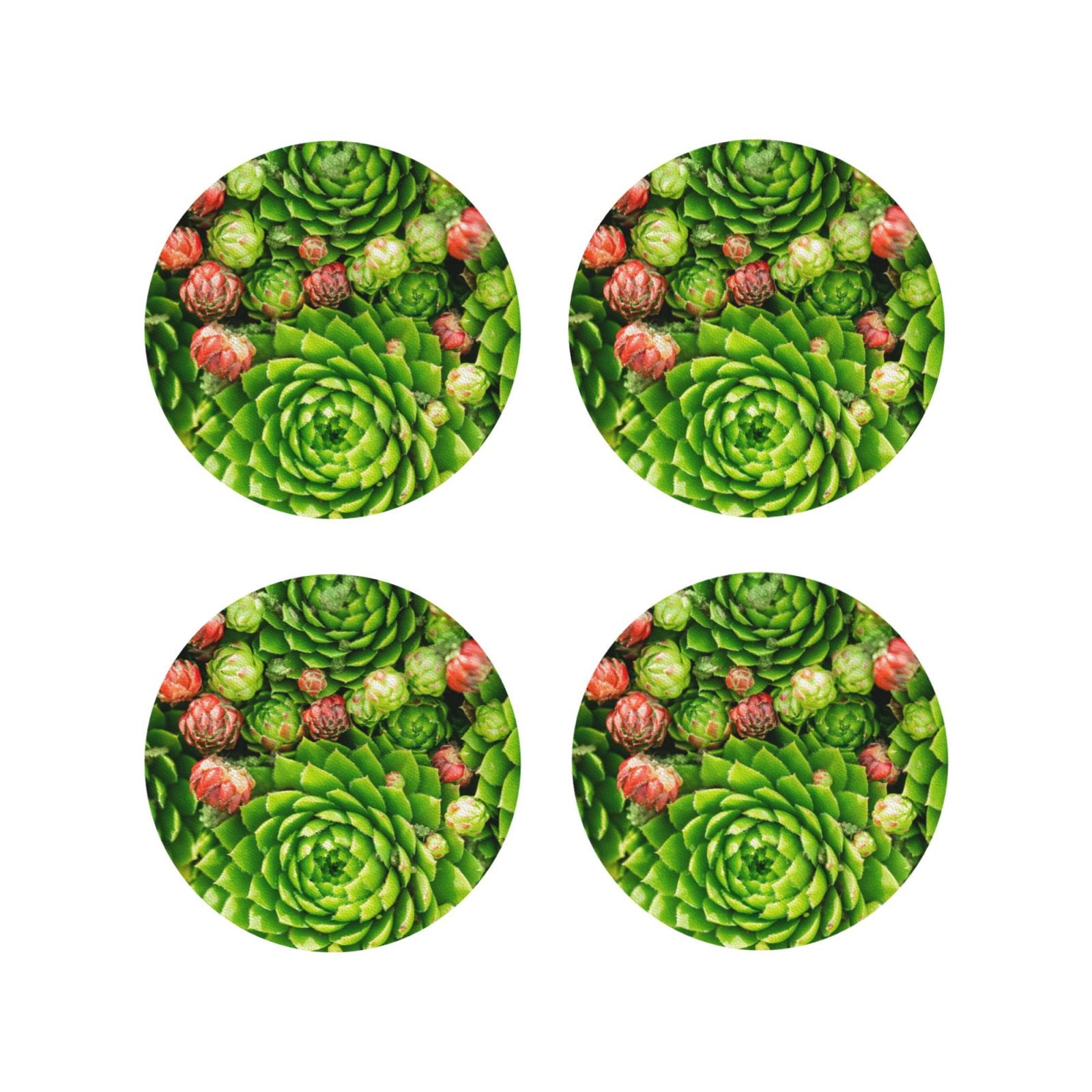 Drink Coasters Set of 4, Cactus And Succulents Leather Coasters for ...