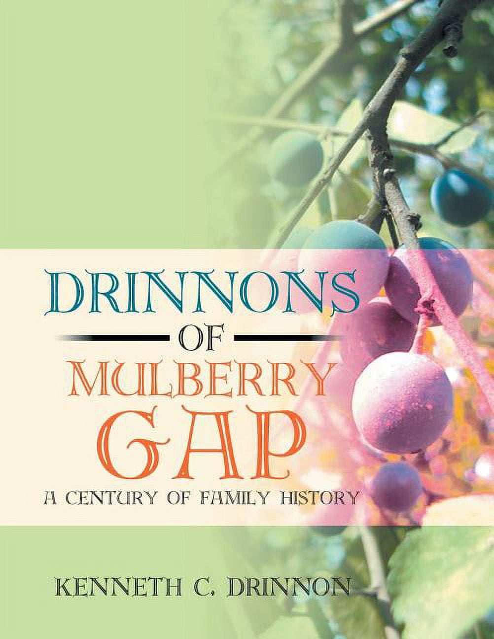 Drinnons of Mulberry Gap: A Century of Family History - Walmart.com