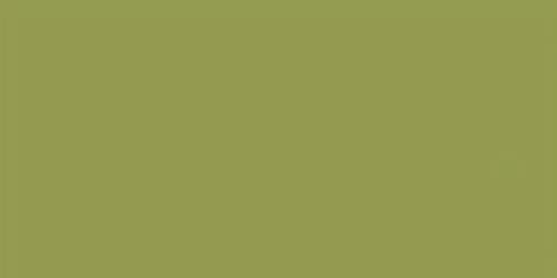 Dylon Permanent Fabric Dye 1.75 Ounce-Olive - Walmart.com