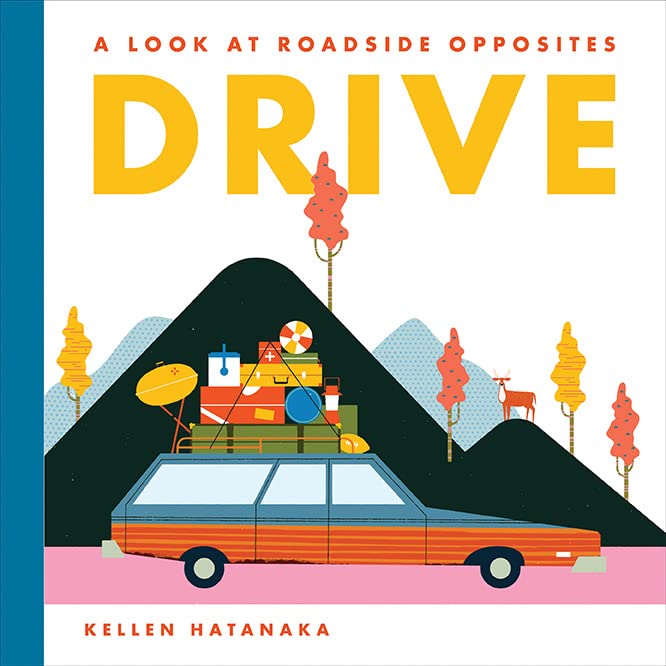 Pre-Owned Drive : A Look at Roadside Opposites (Paperback ...