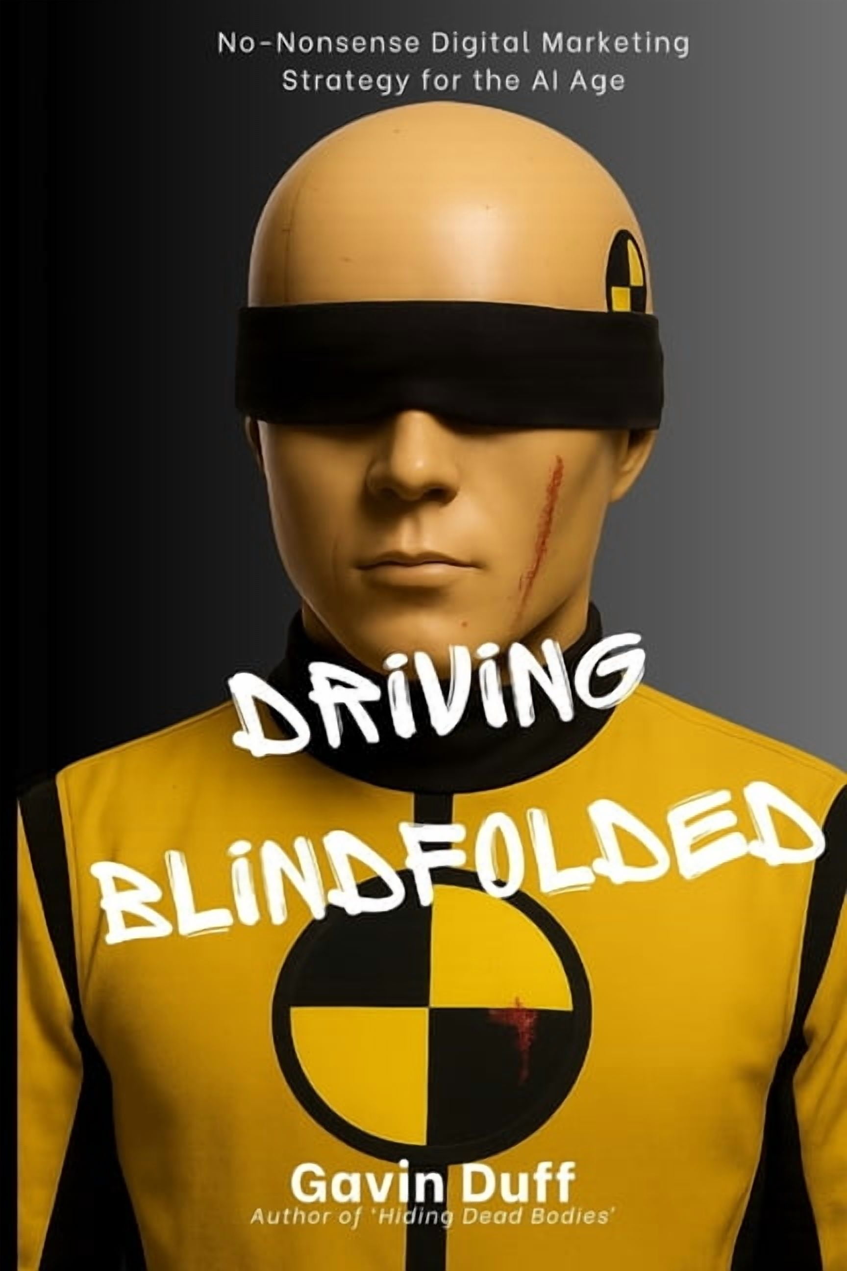 Driving Blindfolded: No-Nonsense Digital Marketing Strategy for the AI ...