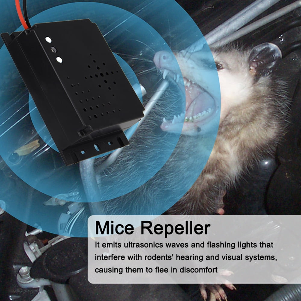 Driving device,Under Animal Car Rv Indoor Car Under Animal Ler Rat Lent ...