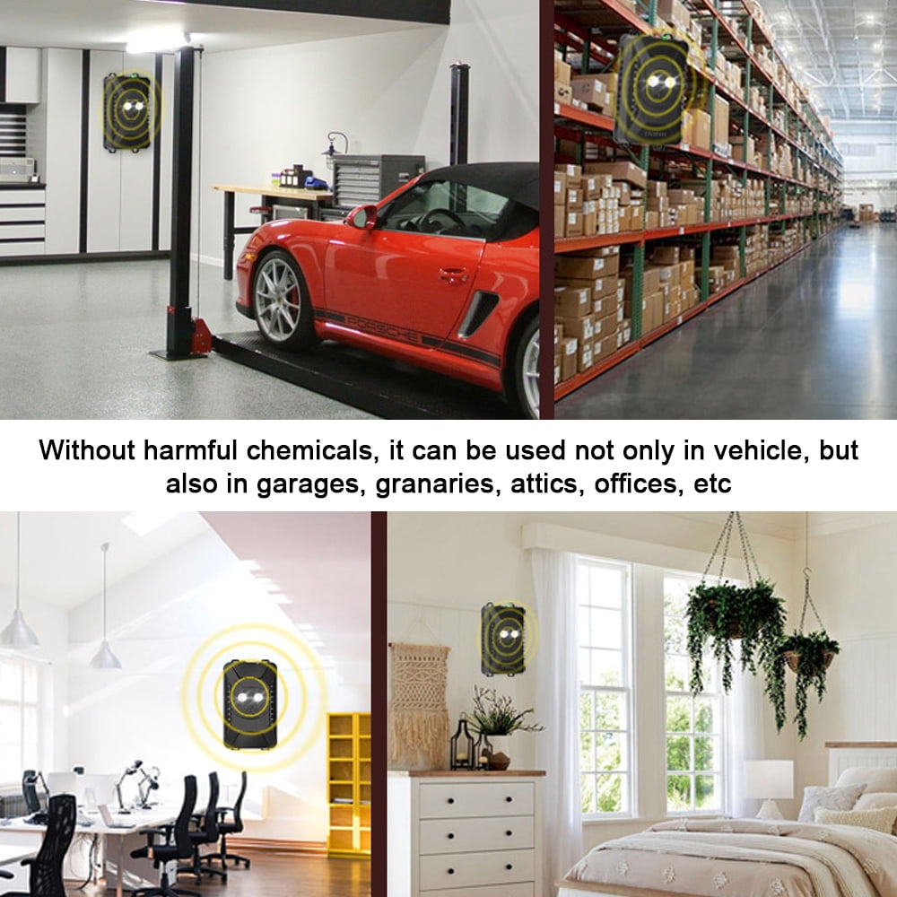 Driving device,With Led Rv Under Car Under Animal Rat With Led Animal ...