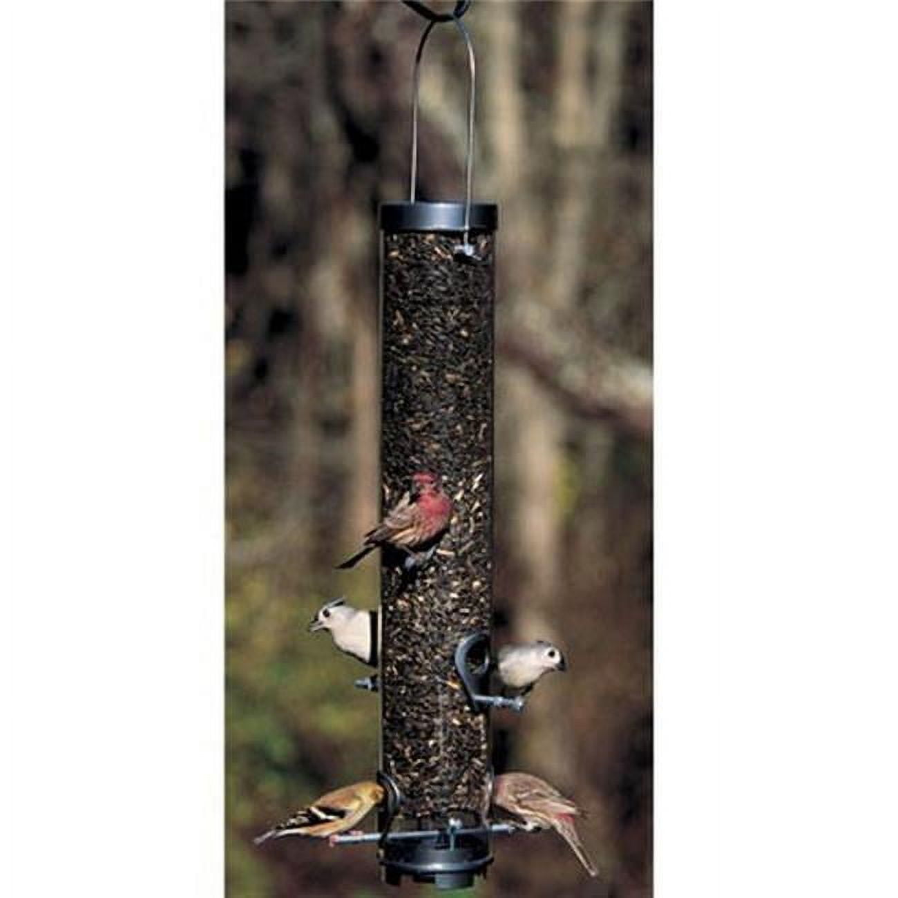 Droll Yankees 3.5 in. 6-Port Sunflower Feeder - Walmart.com
