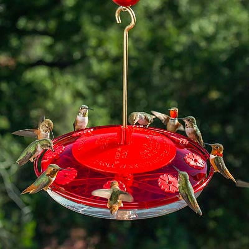 Droll Yankees H8-2 Round Hummingbird Feeder, Ruby Red Acrylic, 1 qt ...